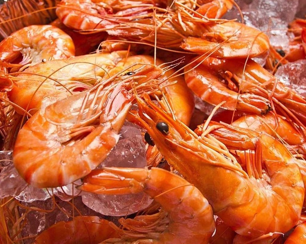 Cooked Australian Prawns – Grass & Bone