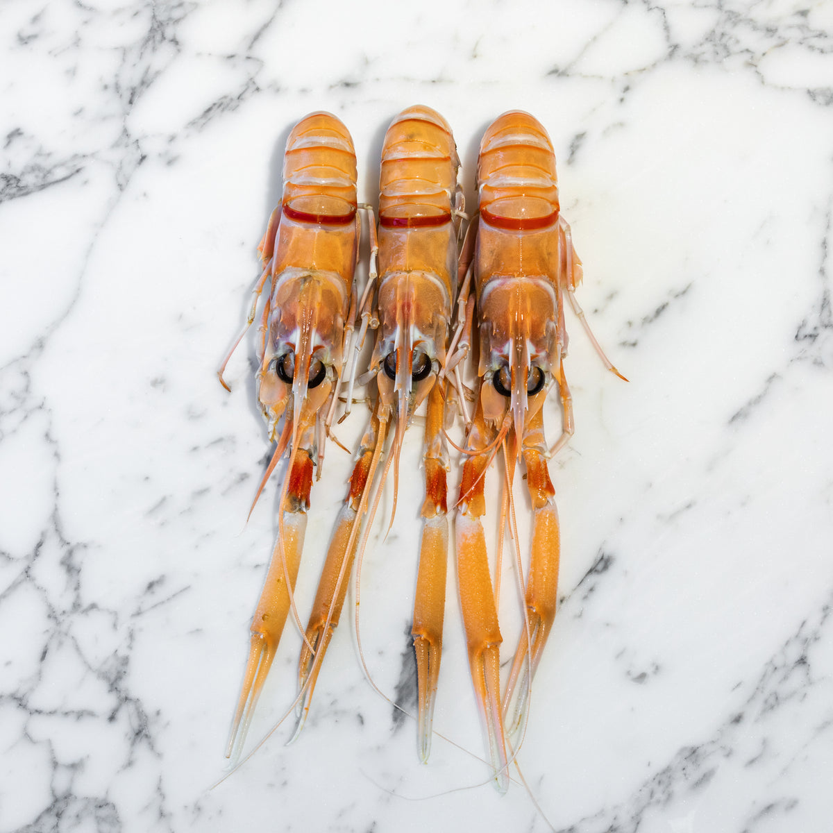 Sashimi - Scampi (Frozen) Western Australia | $115/kg – Grass & Bone